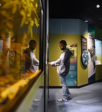 Directions - The Bruce Museum