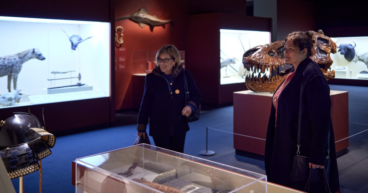 Adult Programs - The Bruce Museum