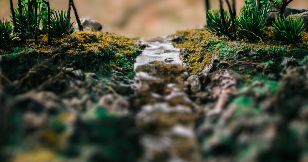 Art Adventures: Create Your Own Dioramas - The Bruce Museum