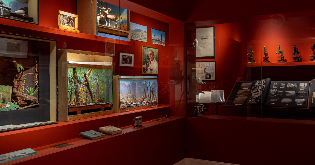 Bruce Presents: Unlocking the Cabinet of Curiosities -with Mark Dion ...