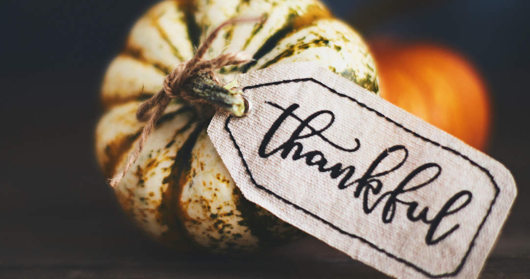Bruce Beginnings Junior: Grateful For Nature - Giving Thanks - The ...