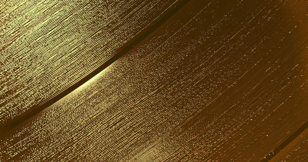 Bruce Beginnings Junior: Shiny Sculptures - The Bruce Museum