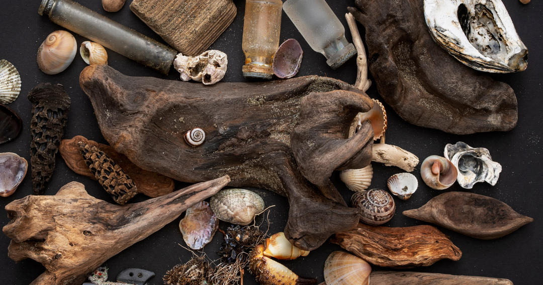 Art Adventures: Found Objects - The Bruce Museum