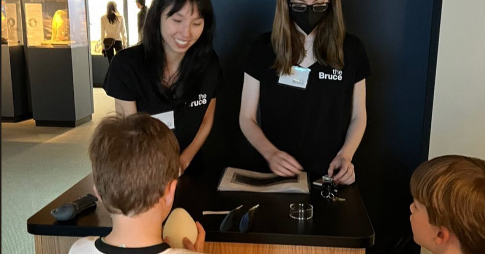 Gallery Carts - The Bruce Museum