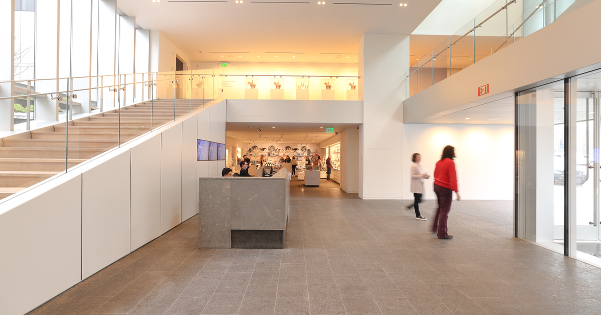 Grand Reopening Day! - The Bruce Museum