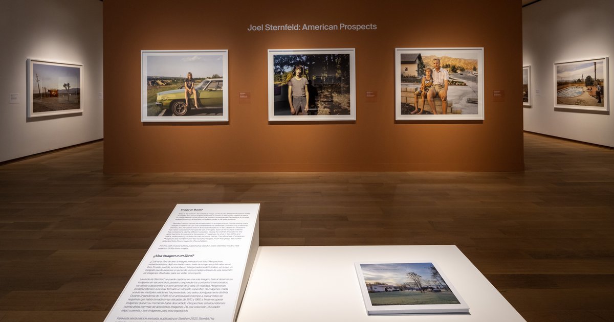 Bruce Presents: Joel Sternfeld–American Prospects - The Bruce Museum
