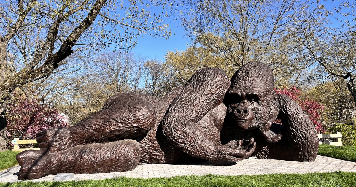 King Nyani - The Bruce Museum