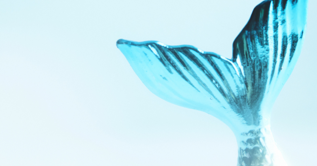 Bruce Beginnings: Mermaids and Fish - The Bruce Museum