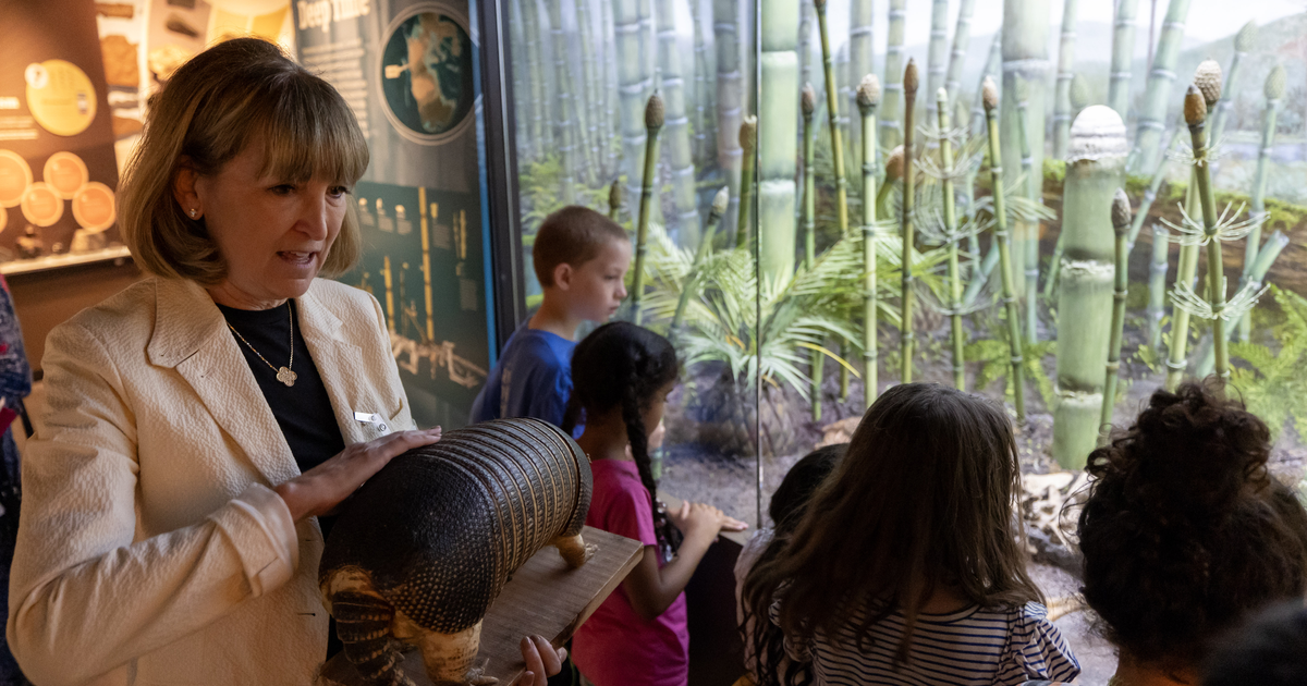 CADN Symposium: Reimagining A Museum for the Future - The Bruce Museum