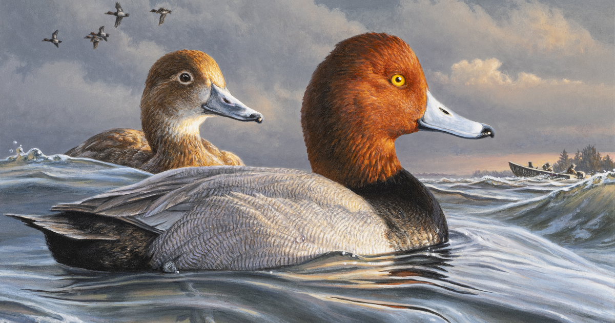 Conservation Through the Arts: Celebrating the Federal Duck Stamp - The ...