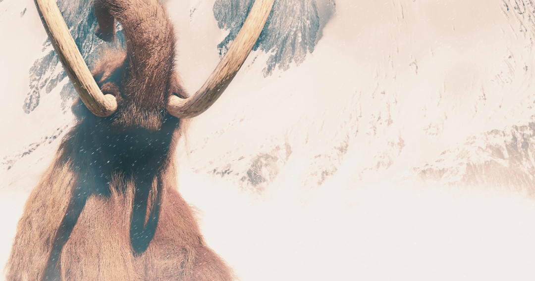 Science Solvers: Ice Age - The Bruce Museum