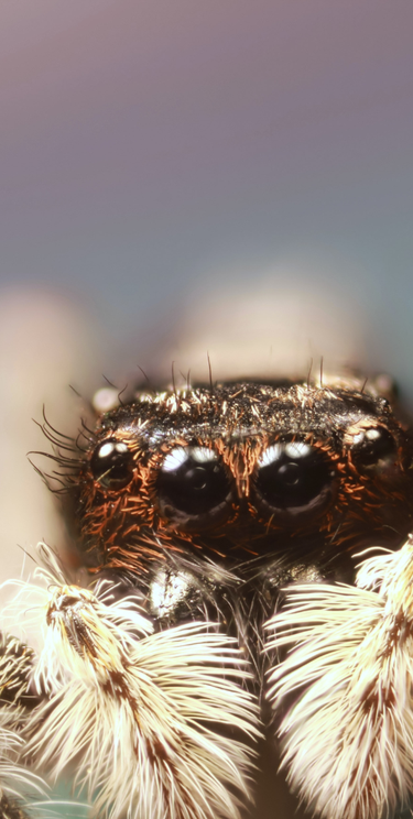 Families and children - The Bruce Museum