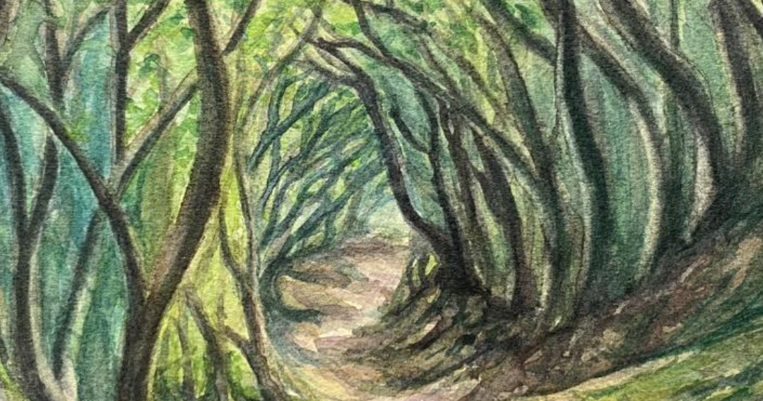 Bruce Beginnings: Summer Landscapes - The Bruce Museum