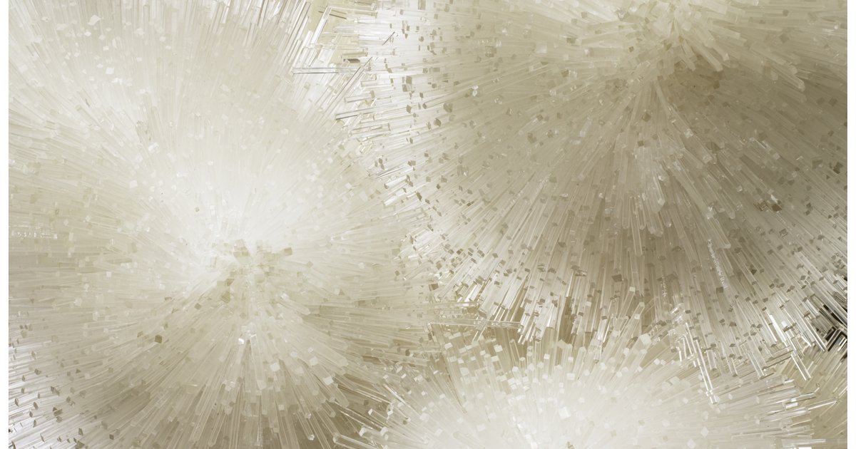 Tara Donovan: Aggregations - The Bruce Museum