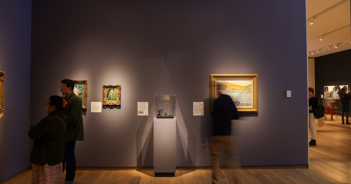 Audiences - The Bruce Museum