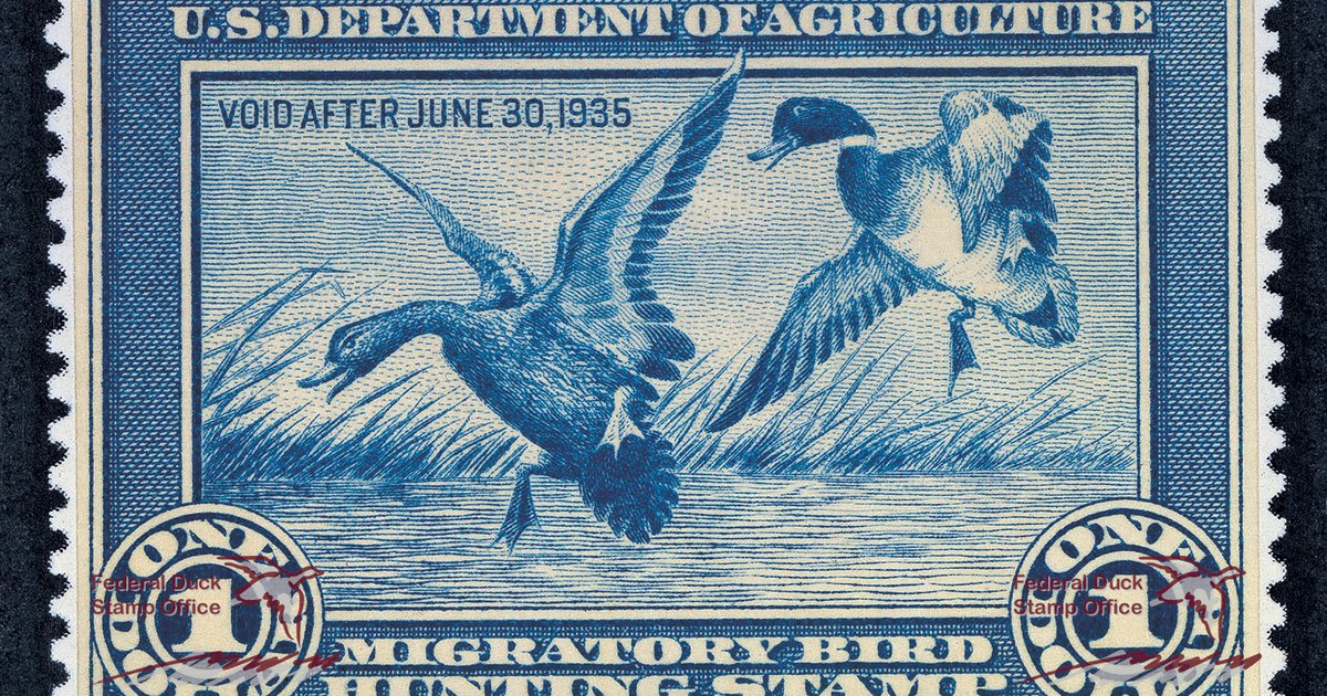 2024 Federal Duck Stamp Contest - The Bruce Museum