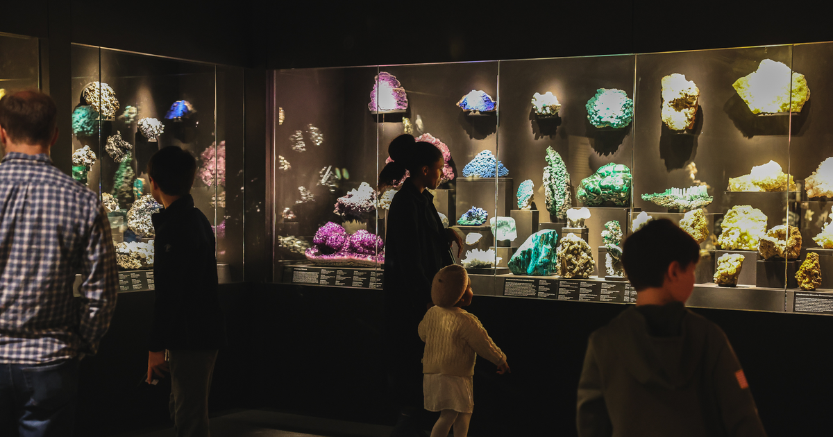 Visitor Guidelines - The Bruce Museum