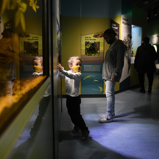 Plan your visit - The Bruce Museum